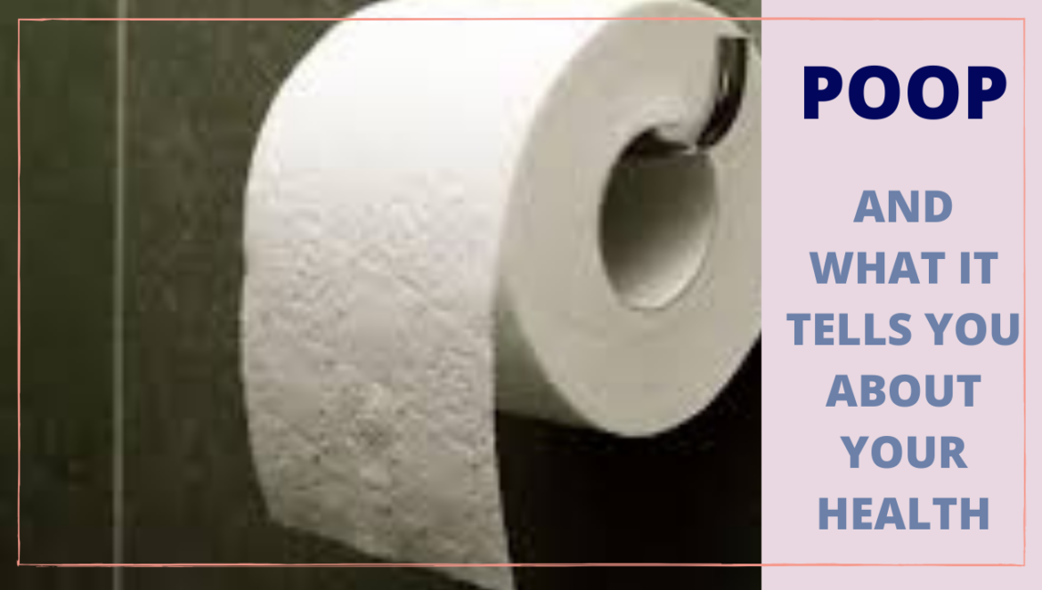 THE POOP FEEDBACK LOOP | Lauren Valentino